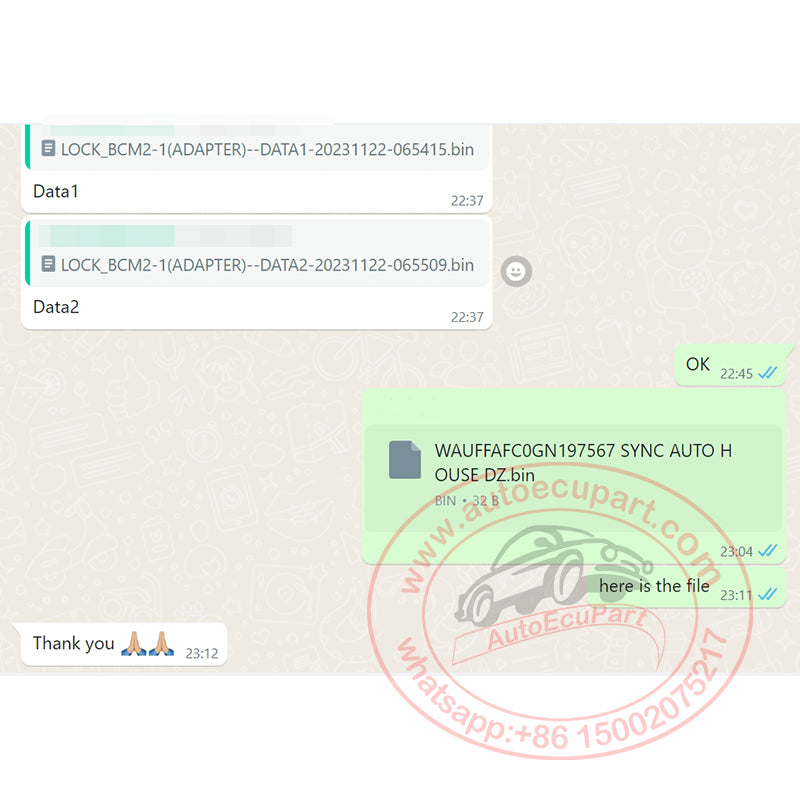 VAG MQB IMMO File + Locked BCM2 Data Sync Synchronize Calculation for ...