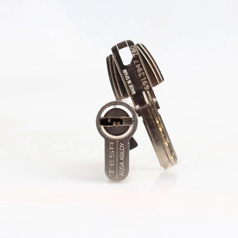 2 in 1 Lock Pick Decoder Tool for TESA T60 Keyline: TES7 Keyway Tool ...